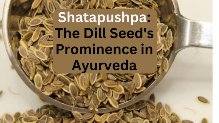 Shatapushpa: The Dill Seed's Prominence in Ayurveda - Dr.milind.com | A ...